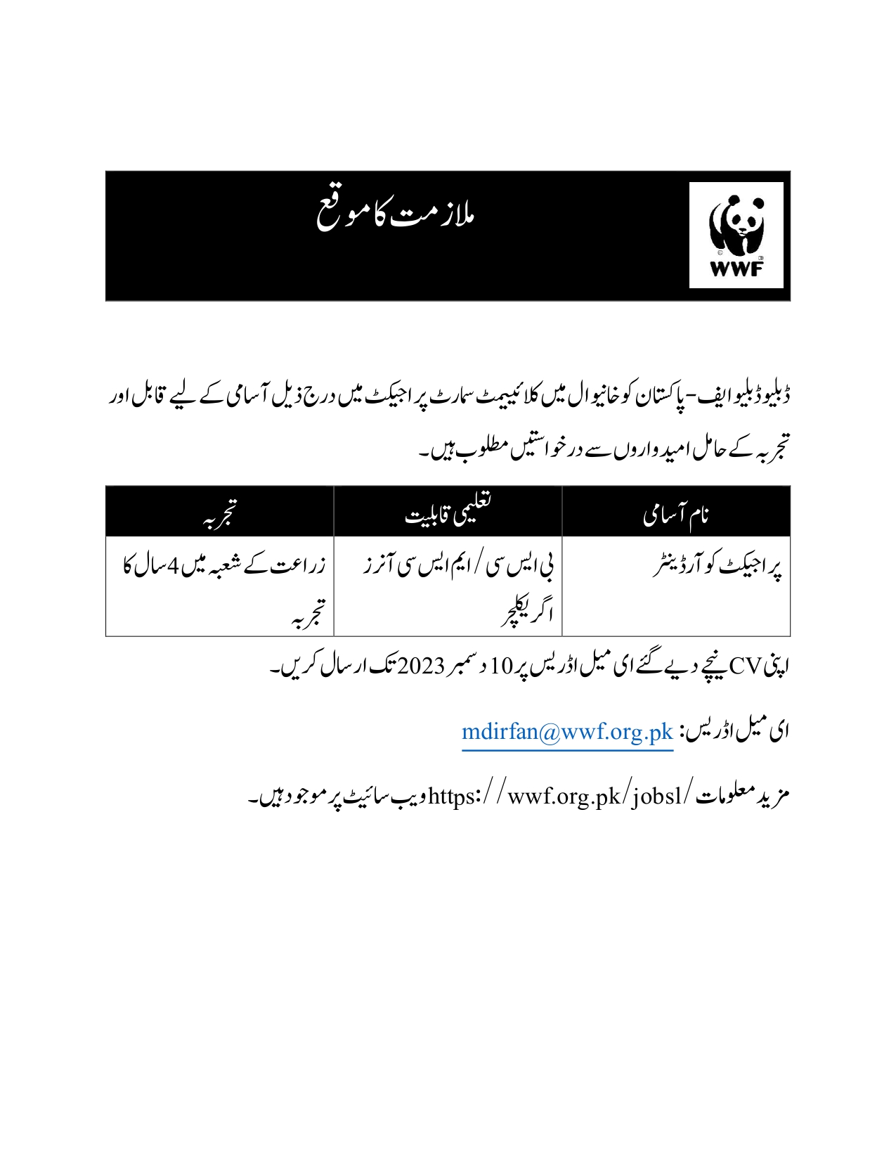 BrightSpyre | Project Coordinator - Khanewal